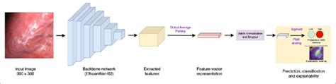 architecture of our image based deep learning model for oral epithelial