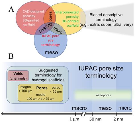 Pores In 3d Printed Scaffolds Encyclopedia Mdpi