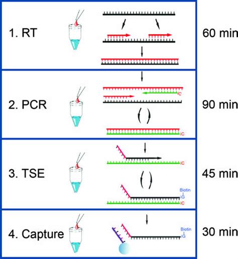 Evaluation Of A Multiplexed Pcr Assay For Detection Of Respiratory Viral Pathogens In A Public