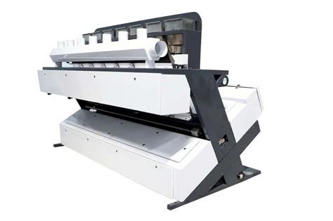 Grain Sorting Machine At ₹ 1100000 Grain Sorting Machine In