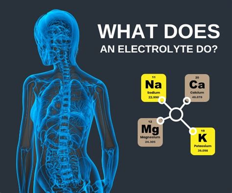Do Electrolytes Taste Like Anything At Steve Bushnell Blog
