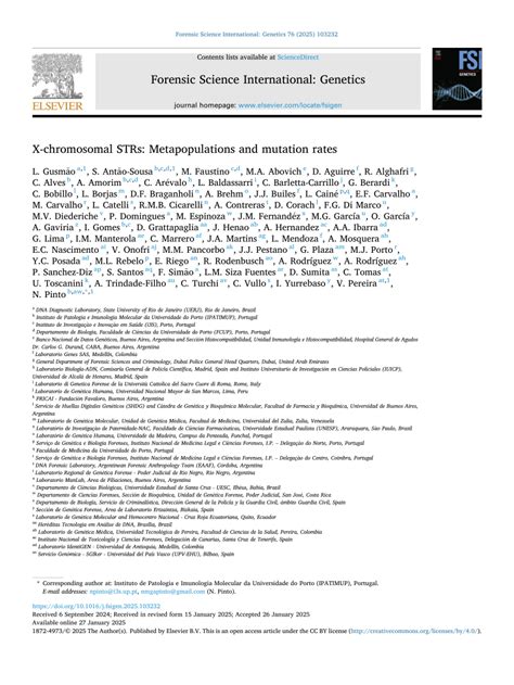 Pdf X Chromosomal Strs Metapopulations And Mutation Rates