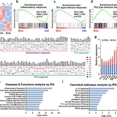 Rna Seq Analysis Of Lps Stimulated Raw 2647 Cells Transcriptome