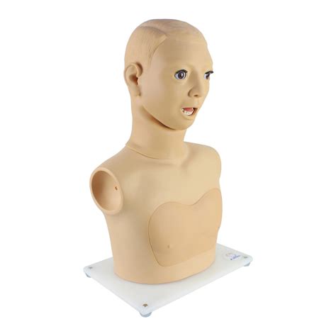 Vocal Cord Examination Model Ent Trainer Anatomystuff