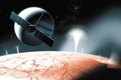 Heart Cells Transformed Into Biological Pacemaker Scientific American