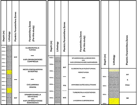 Summary Of Foraminiferal Biostratigraphy Zone Description