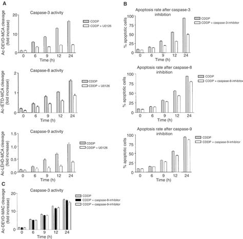 Mekerk Activation Results In Caspase Activity A Nccit Cells Were