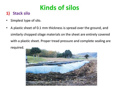 Silage Pptx