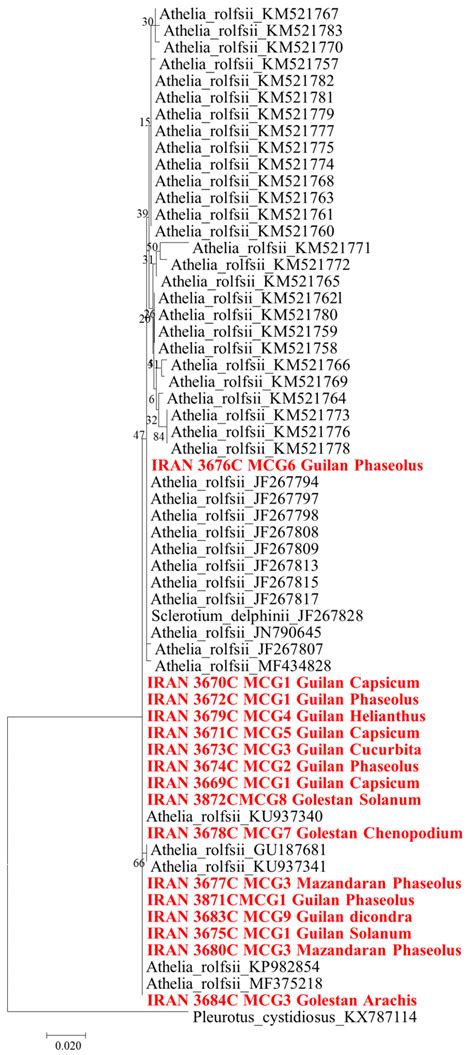 Minimum Evolution Tree Based On Partial Translation Elongation Factor
