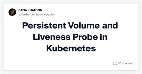 Safia Khatoon On Linkedin Persistent Volume And Liveness Probe In