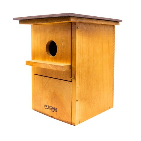 Solid Wood Nesting Box For Common Kestrel Birdgard Iberia