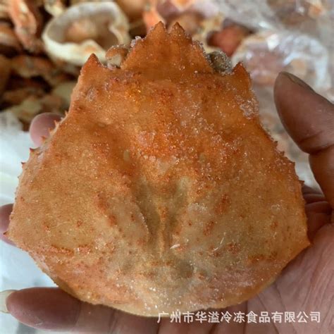 海螃蟹壳 什么是螃蟹壳 蟹壳图片大全 第13页 大山谷图库
