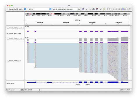 Bam Index Files Without Content · Issue 1021 · Igvteamigv · Github
