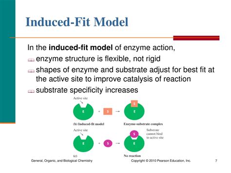 Ppt Enzyme Action And Specificity In Biological Reactions Powerpoint