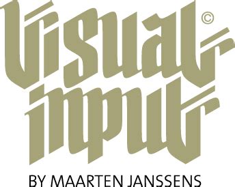 Visual Input