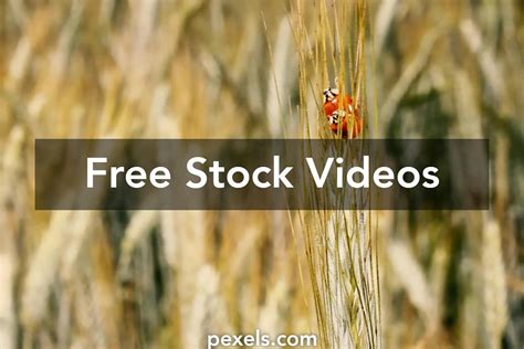 Small Openbox Videos Download The Best Free 4k Stock Video Footage