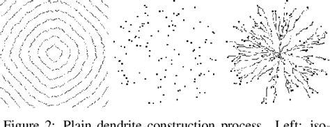 figure 3 from modeling dendritic shapes using path planning