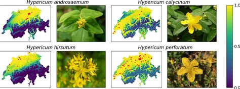 Digital Taxonomist Identifying Plant Species In Community Scientists Photographs Riccardo De