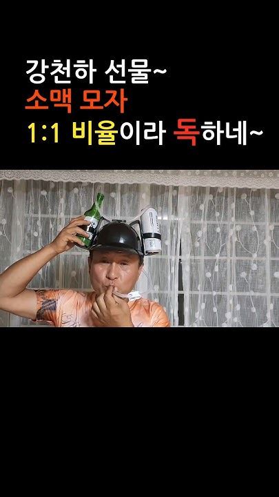 특별한 생일선물 소맥 모자 Youtube