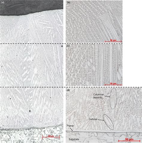 Solidification Structure Along The Cross Section Of The Coating A