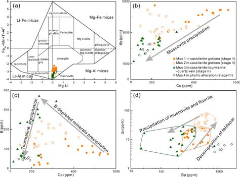 Major And Trace Element Compositions Of The Muscovite In The Lijia Sn Download Scientific