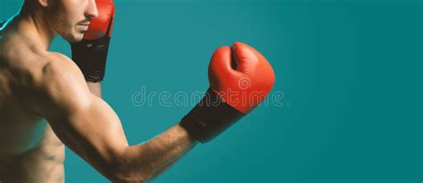 Strong Boxer Posing on Blue Background, Cropped Stock Photo - Image of ...