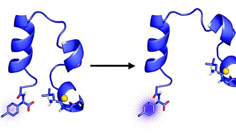 Tweaks Boost Protein Stability