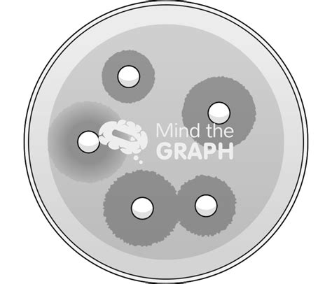 Free Antibiogram Petri Dish Front 1 Icons Symbols Pictures And Images Mind The Graph