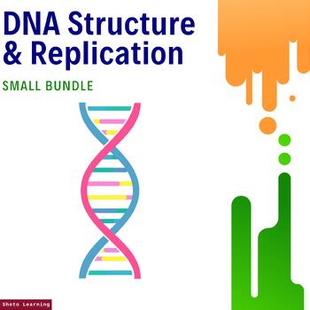 DNA Structure Replication Essentials Comprehensive Learning Bundle
