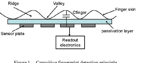 Figure 1 From A New Polysilicon Tft Capacitive Fingerprint Sensor With Advanced Mismatch