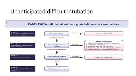Airway Anatomy Difficult Intubation Supraglotic Airway Devices Video Laryngoscopy Fiberoptic