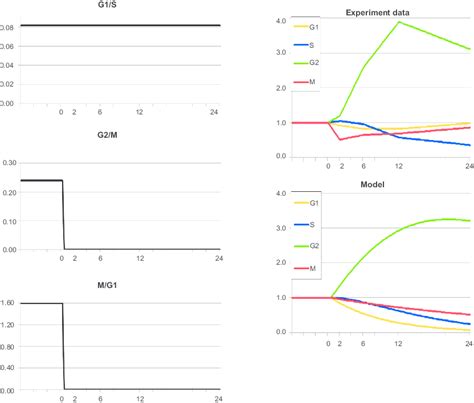 Optimal Approximation Of Model To Experiment For AT Cells With Download Scientific Diagram
