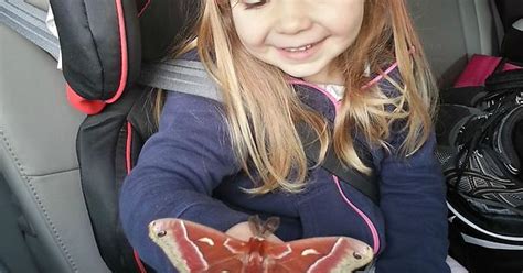 The Biggest Moth Ive Ever Seen Was At The Gas Station The Only Legit Reason To Be Late For Pre