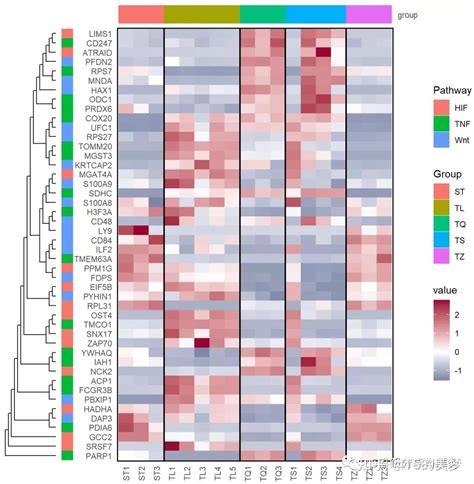 热图5：ggplot2画热图及个性化修饰 知乎