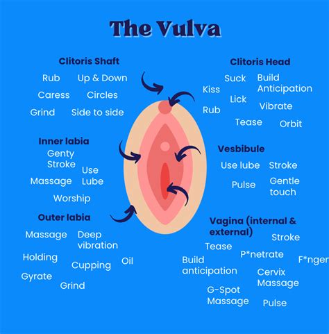 A Sex Therapists Guide To Erogenous Zones