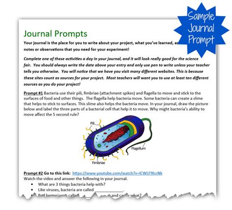 5 Second Rule Science Project Kit Easy Peasy Science