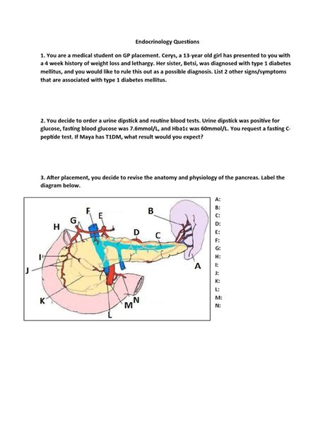 Endocrinology Questions Pdf Diabetes Endocrine Pancreas
