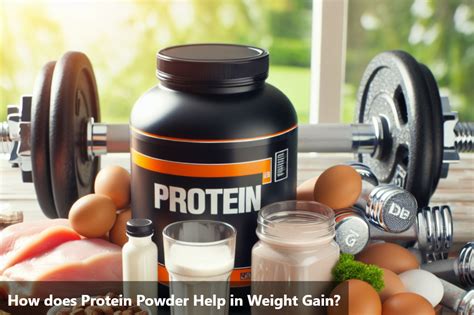 Protein Powder For Weight Gain Benefits And How It Helps Diabesmart