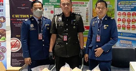 Sosej Daging Babi Tanpa Permit Import Dirampas Harian Metro