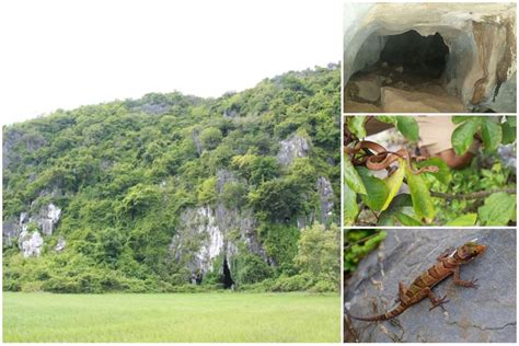 តំបន់បេតិកភណ្ឌធម្មជាតិពីរនៅ កំពត សង្ស័យថាជាជម្រកសត្វ និងសម្បូរដោយជីវៈចម្រុះ