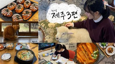 여행vlog 제주 맛집 낋여오거라 제주여행 3편 제주찐맛집 새별프렌즈 내돈내산 후기 제주픽업카페찐후기 제주드로잉클래스 제주애월 가성비 오션뷰숙소