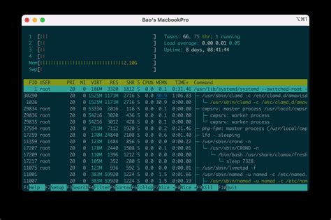 htop monitoring linux server processes