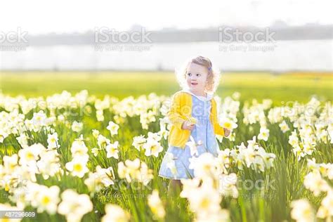 어린 아이와 여자아이 파란색 정장용 On 필드 대포딜 12 17 개월에 대한 스톡 사진 및 기타 이미지 12 17 개월 가족 건강한 생활방식 Istock
