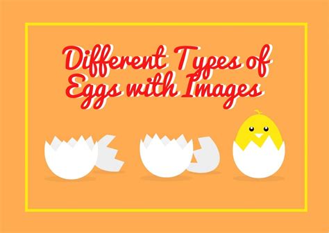 7 Different Types Of Eggs With Images Asian Recipe
