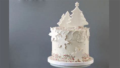 17 عکس کیک تولد تم زمستانه دخترانه و پسرانه شیک و زیبا ستاره