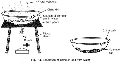 CBSE Class Science Practical Skills Separation Of Mixture CBSE Sample Papers