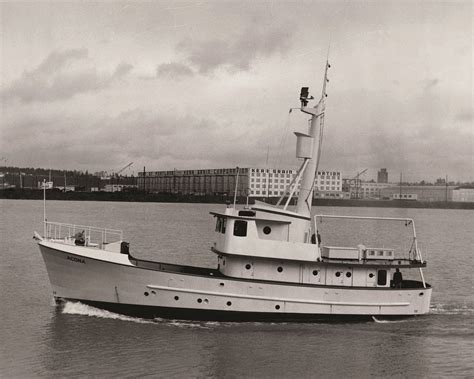 Acona_1copy – Terra Magazine