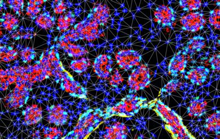 Why Spatial Biology Akoya Biosciences