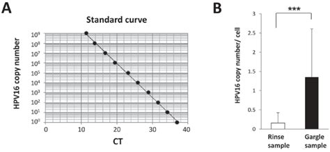 Copy Number A Standard Curve Was Calculated By Plotting Obtained Ct