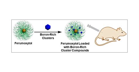 Ex Vivo And In Vivo Evaluation Of Dodecaborate Based Clusters Encapsulated In Ferumoxytol